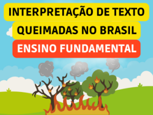 INTERPRETAÇÃO DE TEXTO: QUEIMADAS NO BRASIL - ENSINO FUNDAMENTAL